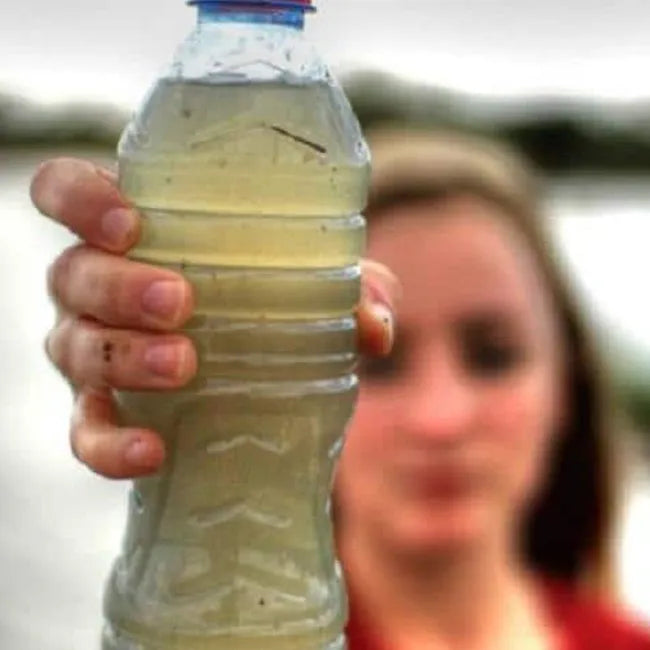 When infrastructure fails or conflict erupts, government resources go ...